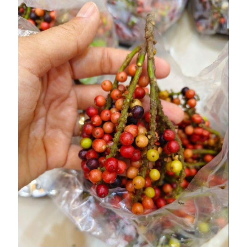 Jual BUAH HUNI/BUNI/WUNI SEGAR 1KG BUAT RUJAKAN BUAT YANG NGIDAM ...