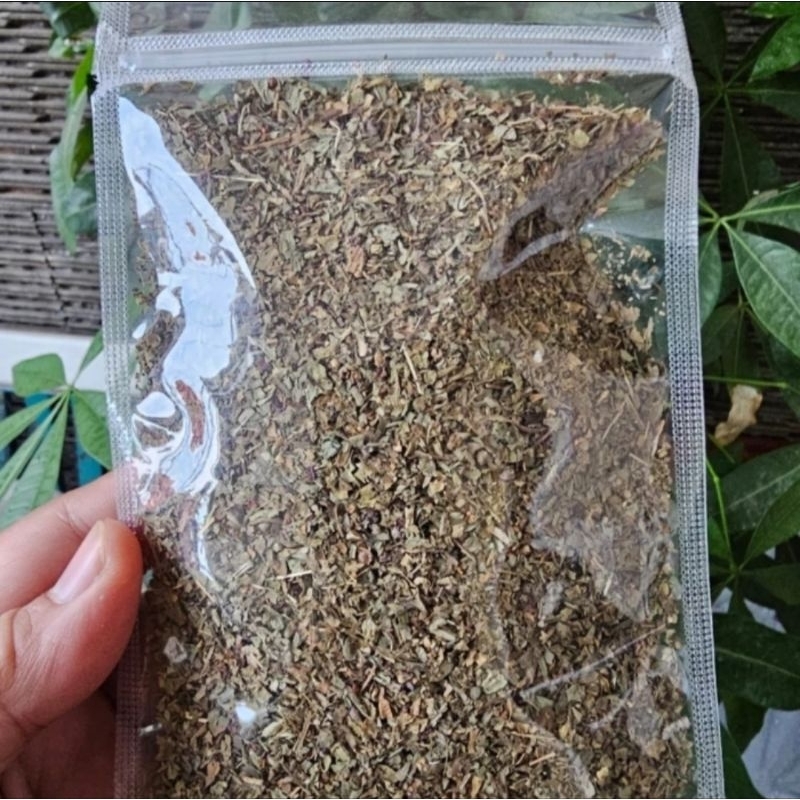 Jual Basil Leaves - Daun Basil Kering 100gr / 250gr | Shopee Indonesia