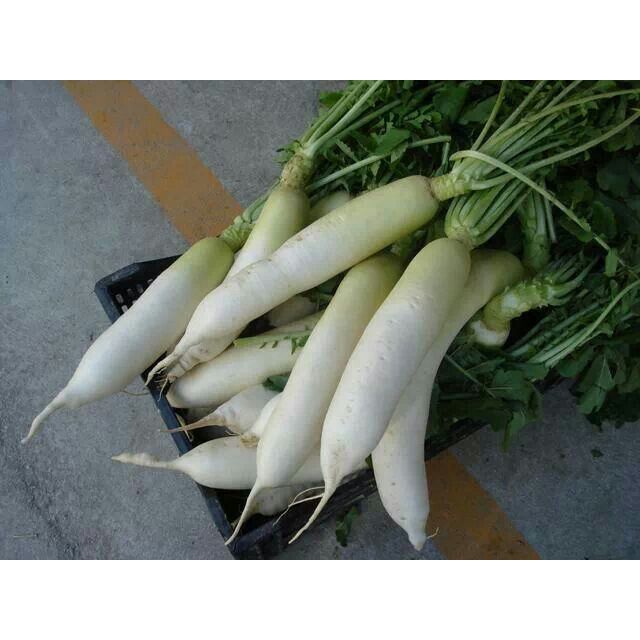 Jual Sayuran Segar | Lobak | Shopee Indonesia