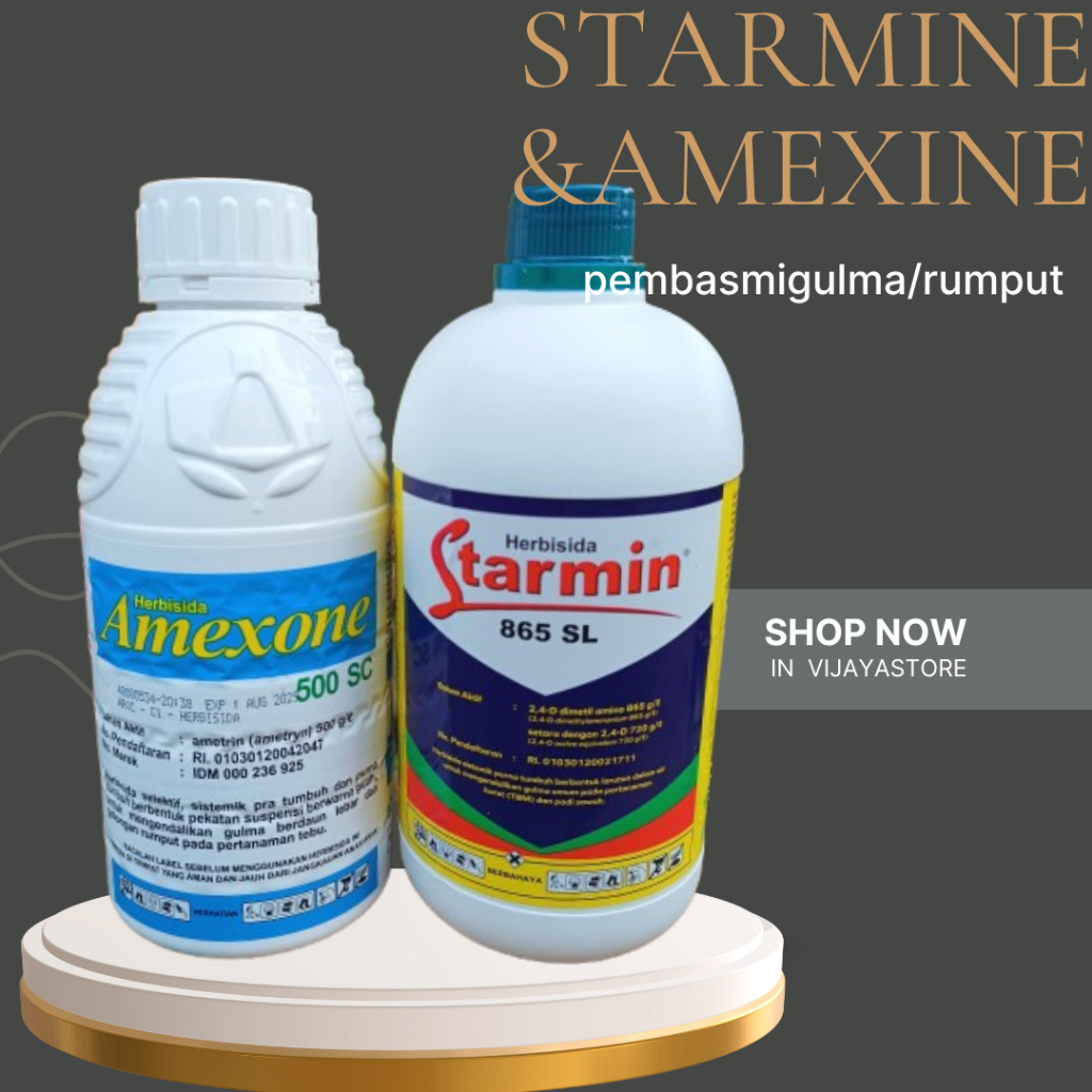 Jual 1L Amexone dan 1L Starmine obat pembasmi gulma/rumput pada tanaman tebu, jagung, nanas ...