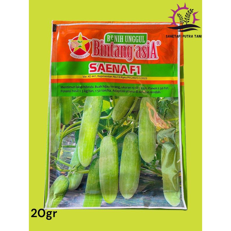 Jual Bibit Benih Timun Baby SAENA F1 isi 20 gram Kemasan Pabrik ...