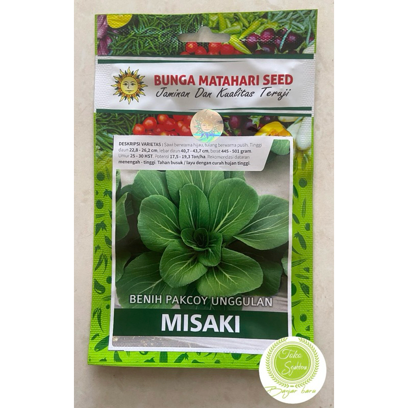 Jual MATAHARI SEED - Benih Pakcoy Unggulan (Pakcoy Misaki) Bibit Unggul ...