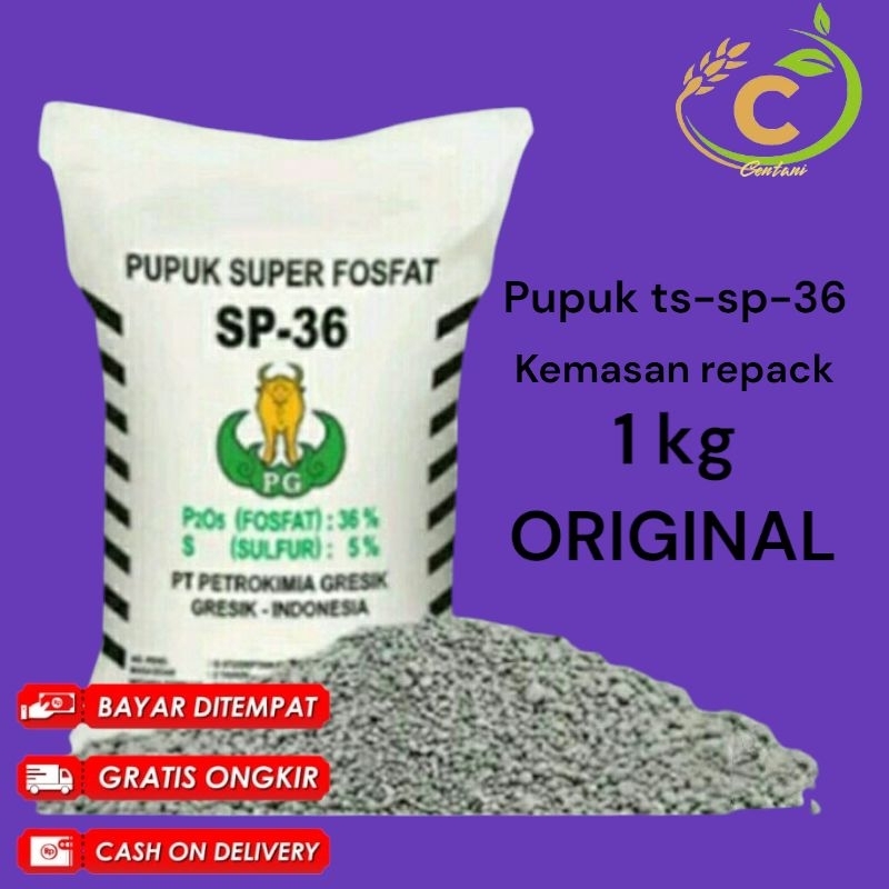 Jual Pupuk SP -36 Repack isi 1KG Pupuk Phospate Penyumubur Tanaman Buah ...