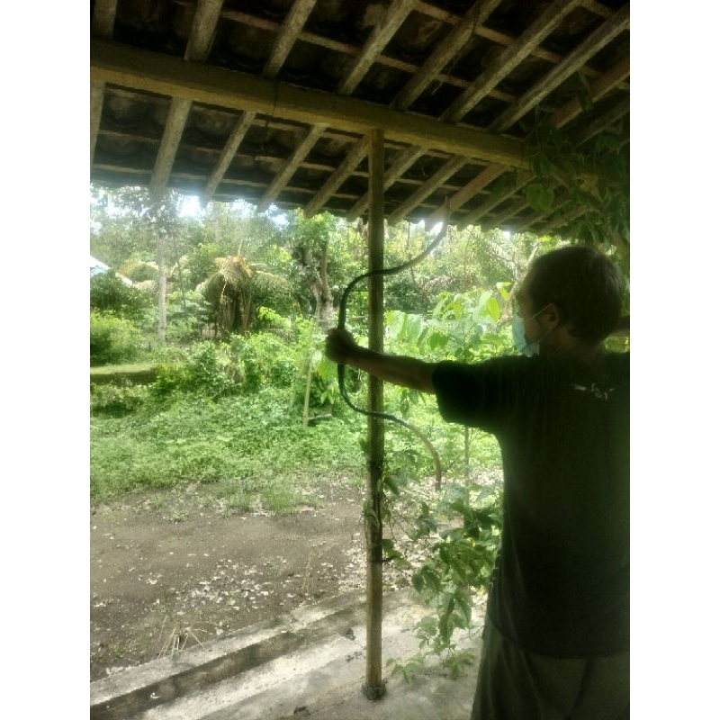 Jual Busur flat siyah laminasi tanpa finishing | Shopee Indonesia