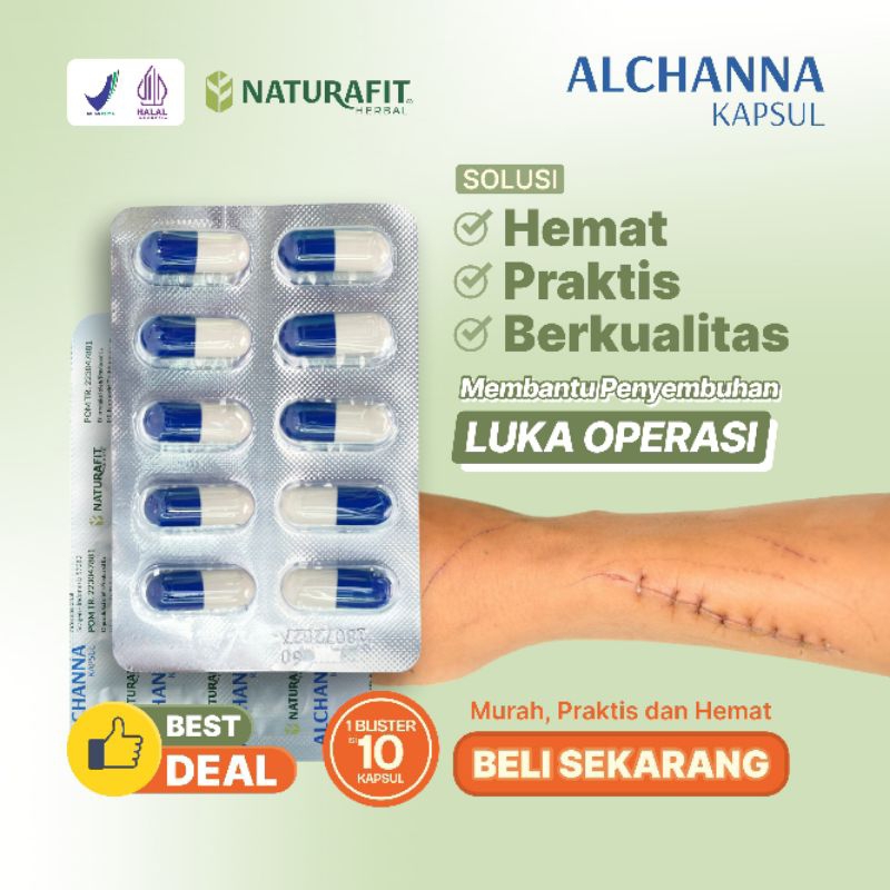 Jual Kapsul Kutuk Premium ALCHANNA BLISTER 10 Kapsul - Obat Pengering ...