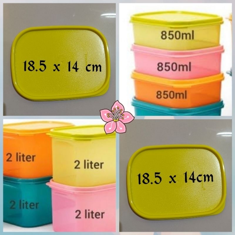Jual tutup rectangular tupperware tutup mm rectangular | Shopee Indonesia