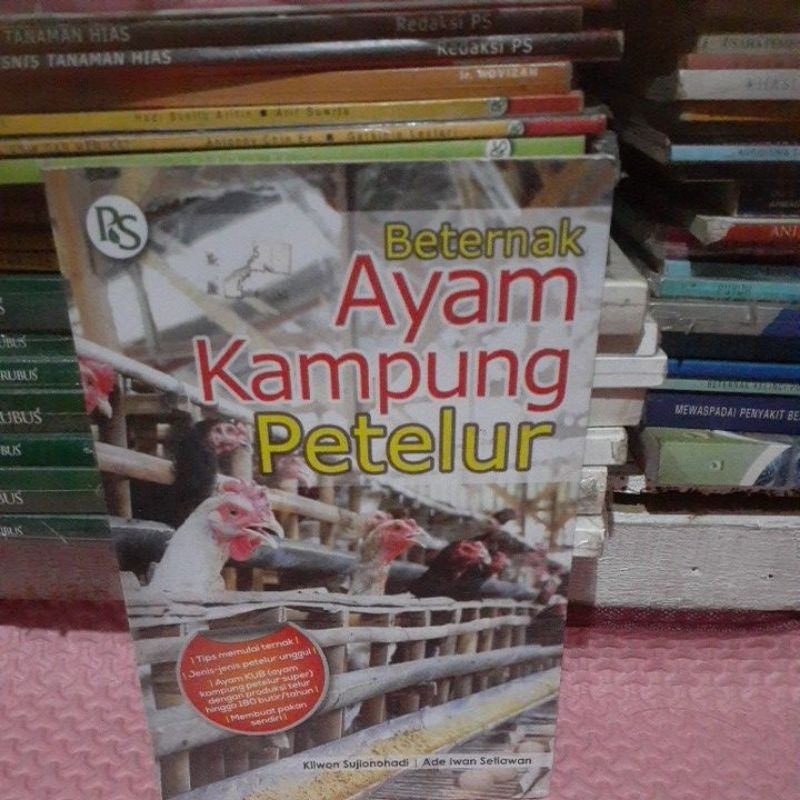 Jual Beternak ayam kampung petelur | Shopee Indonesia