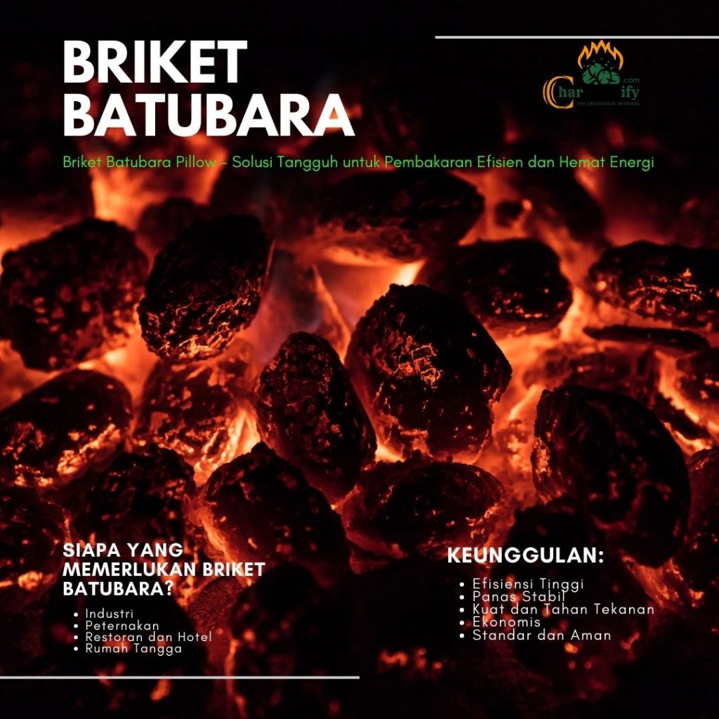 Jual Briket Batubara Pembakaran Efisien dan Hemat Energi 4 Kg | Shopee ...