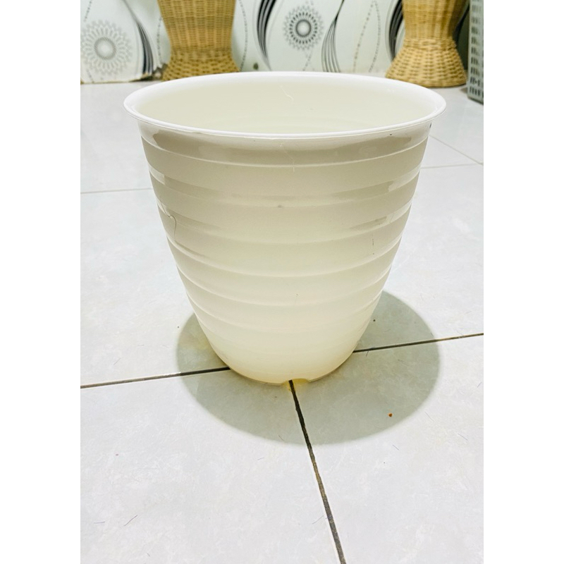 Jual Pot tawon tirus 20cm | Shopee Indonesia