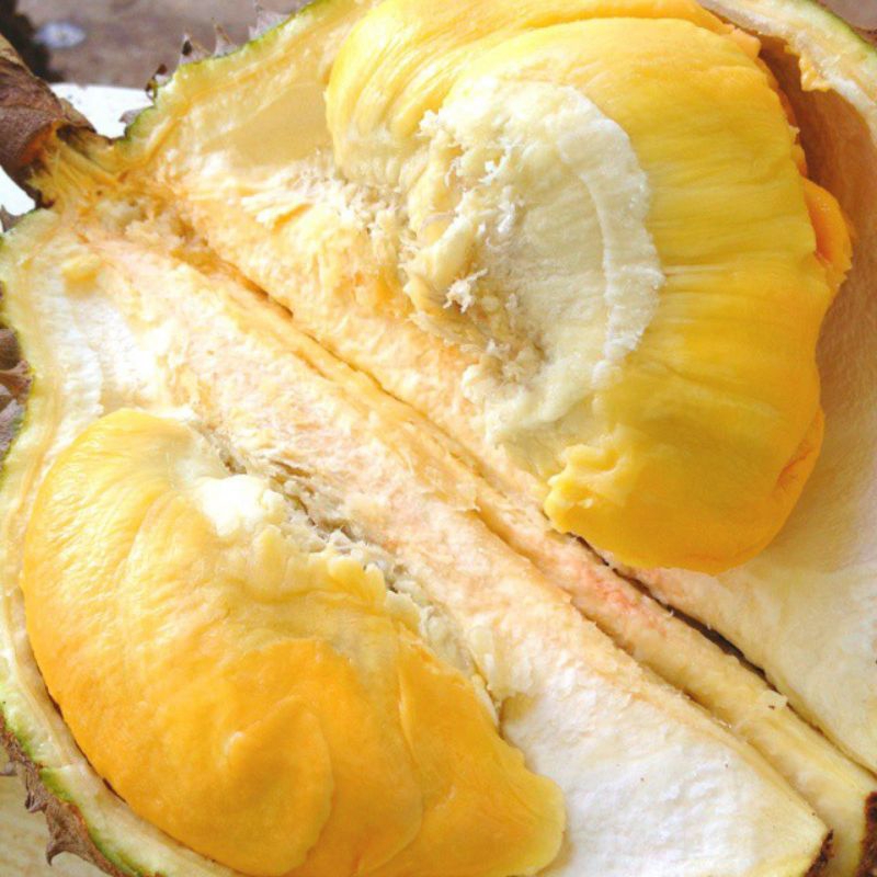 Jual Durian Super Bawor Premium 500grm Full Daging biji kecil //durian ...