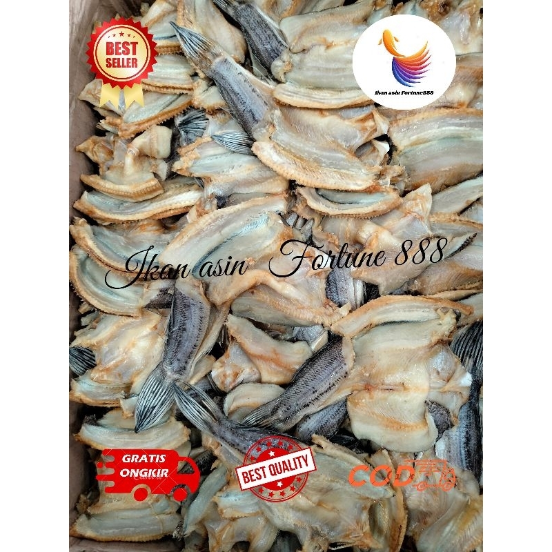 Jual Ikan Asin Gabus Toman Asli Kalimantan Kualitas Premium 500 gram ...