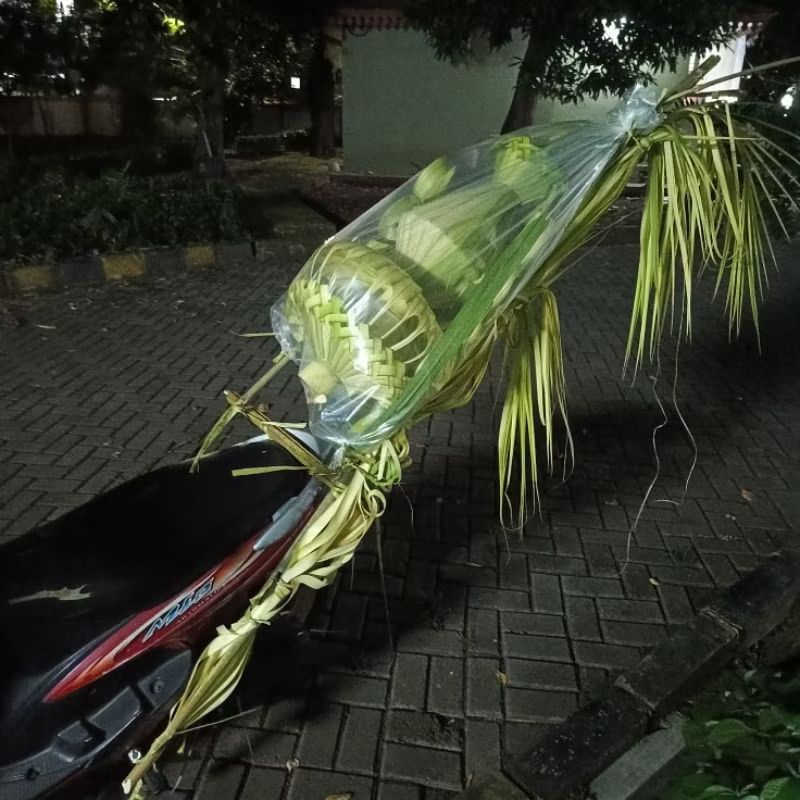 Jual Janur Kuning Pernikahan Terlengkap & Harga Terbaru Mei 2026 ...