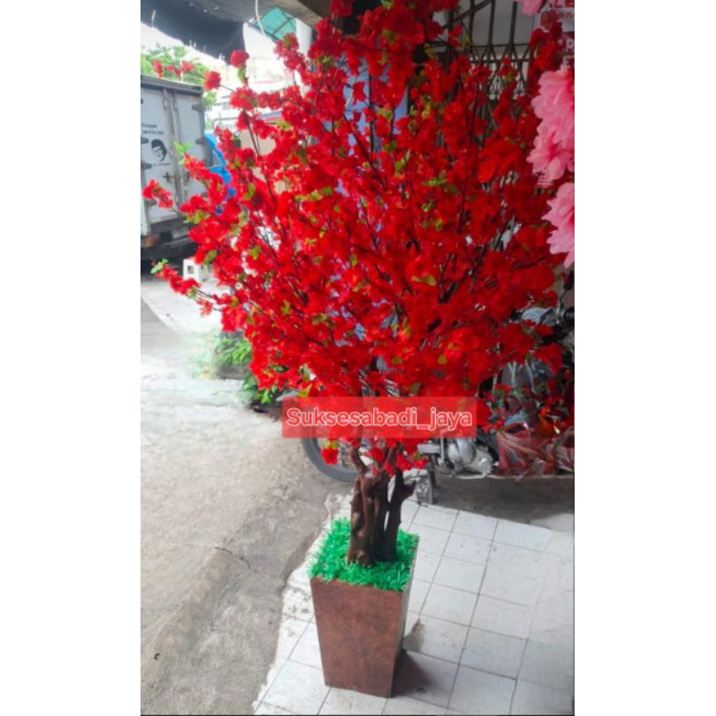 Jual Pohon imlek Meihua Bunga Sakura MERAH ukuran 2meter dan 2.5meter ...
