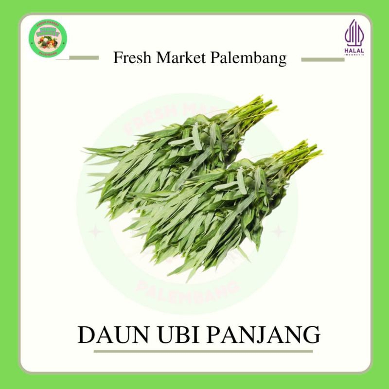 Jual Daun ubi panjang 1 ikat -Fresh Market Palembang- | Shopee Indonesia