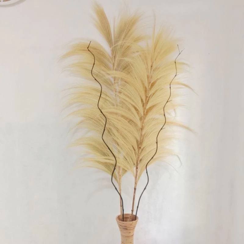 Jual Rayung Dekorasi Rayung Pampas Natural Kering Homedecor Rayung ...