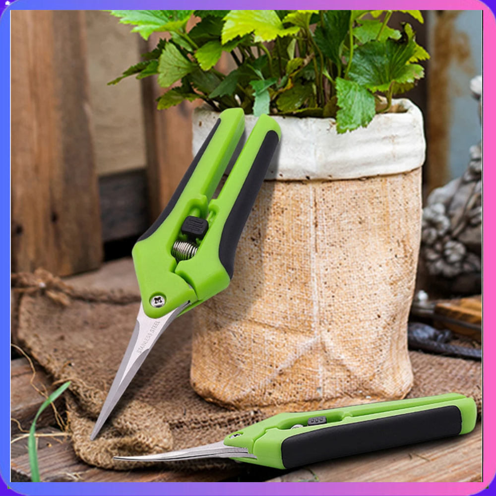 Jual Gunting Dahan Bunga Ranting Pohon Lurus Gunting Daun Bunga Buah ...