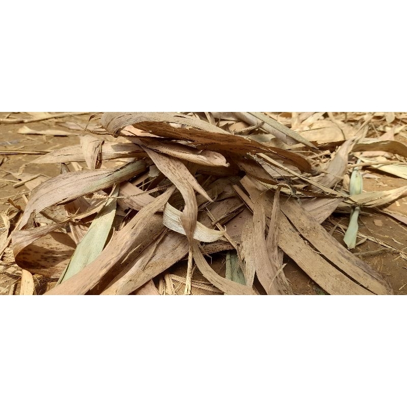 Jual Daun Bambu Kering (media tanam) | Shopee Indonesia