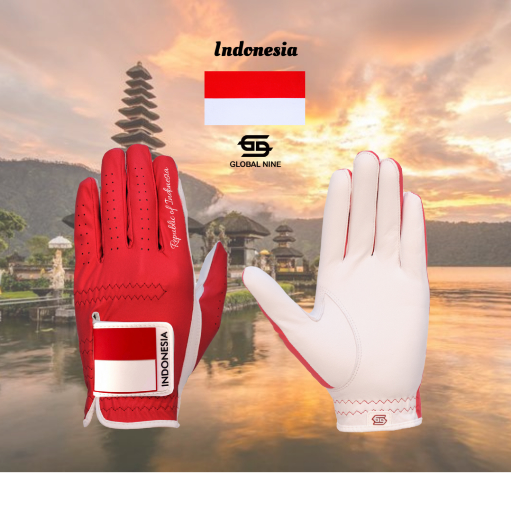 Jual GLOBALNINE GOLF GLOVES INDONESIA DESIGN - SARUNG TANGAN GOLF PRIA / WANITA COMBI LEATHER ...