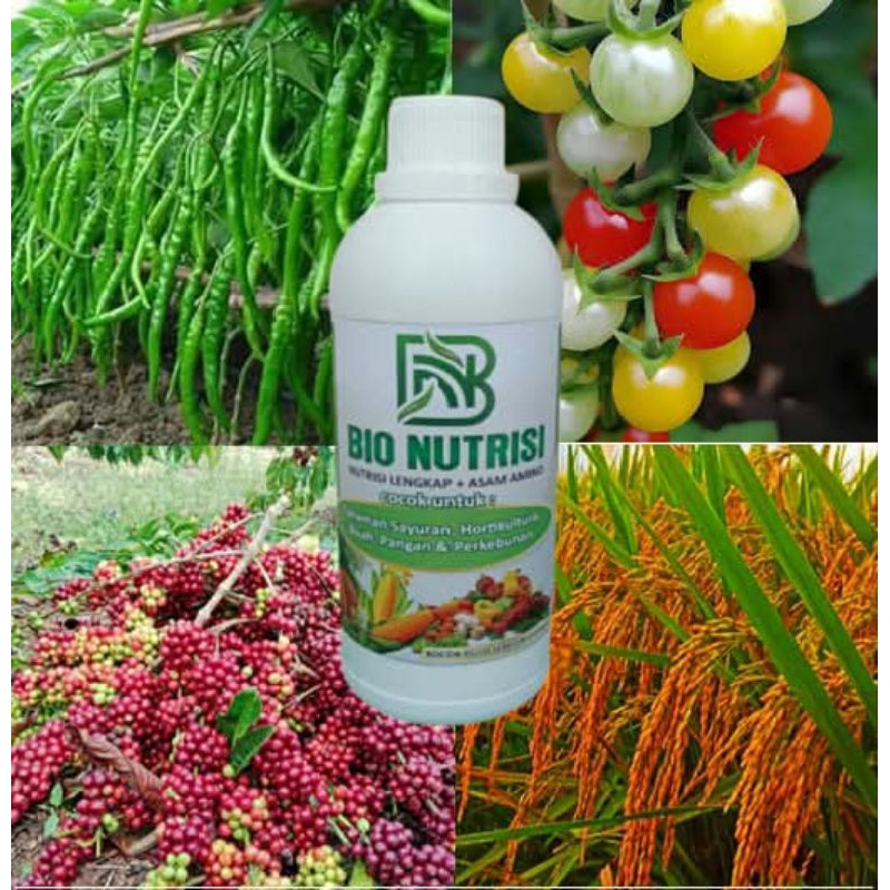 Jual Pupuk buah BIO NUTRISI mengandung hormon,asam amino,unsul P dan K ...