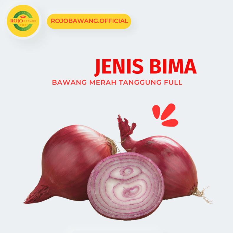 Jual BAWANG MERAH JENIS BIMA ukuran tanggung 500 gr KERING | Shopee ...
