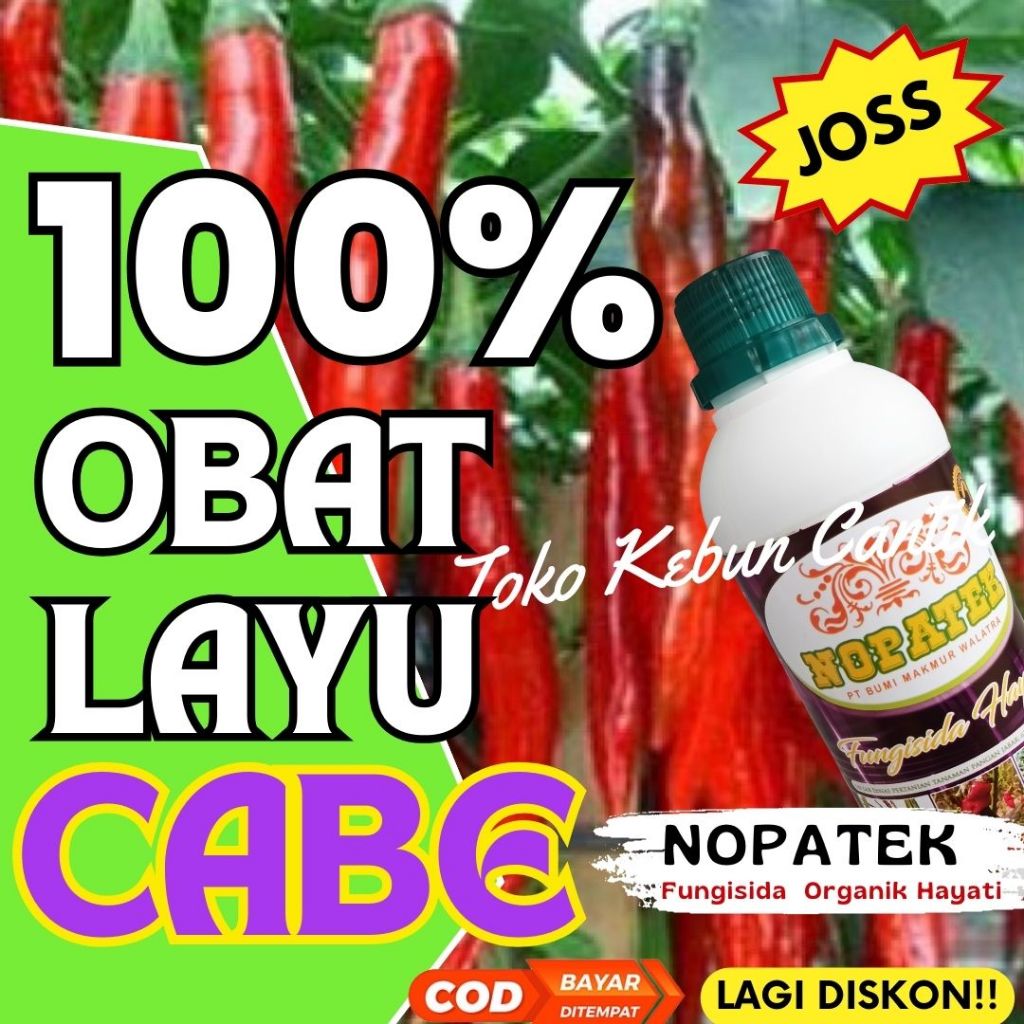 Jual Obat Layu Fusarium Cabai NOPATEK 500ML – Fungisida Organik Hayati ...