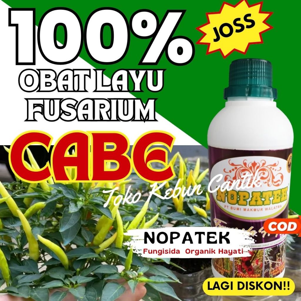 Jual TERMURAH NOPATEK Obat Layu Fusarium Cabe Cabai 500ML – Fungisida Organik Hayati, Solusi ...