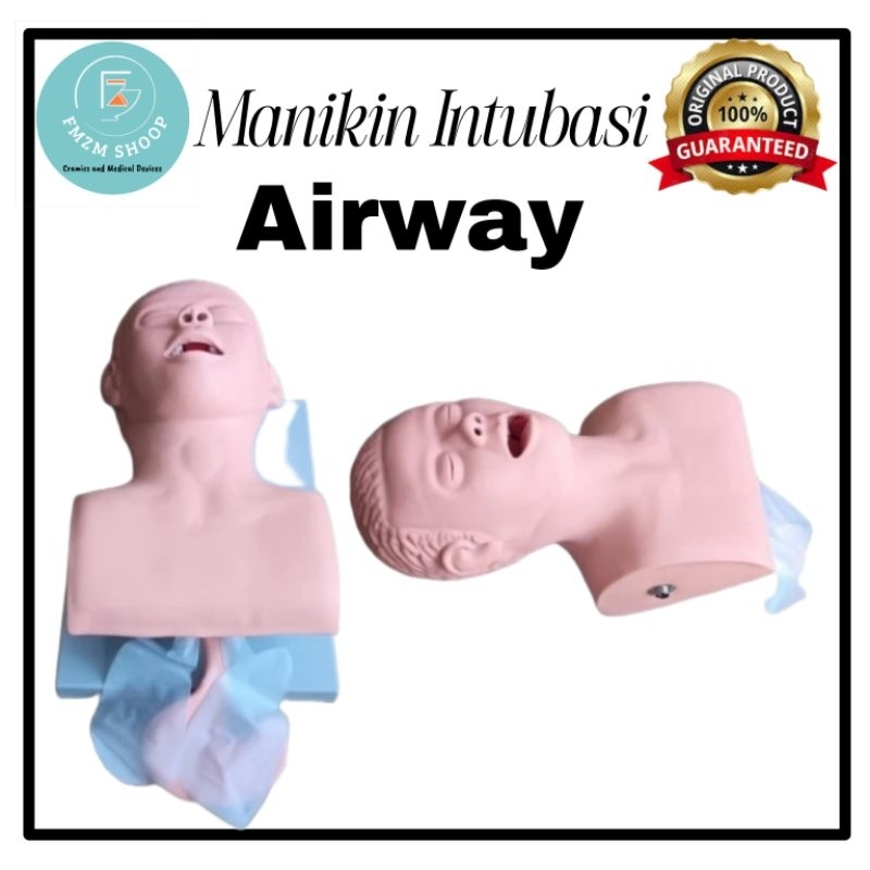 Jual Manikin Intubasi Airway/ Phantom Manikin Airway Dewasa/ Alat ...