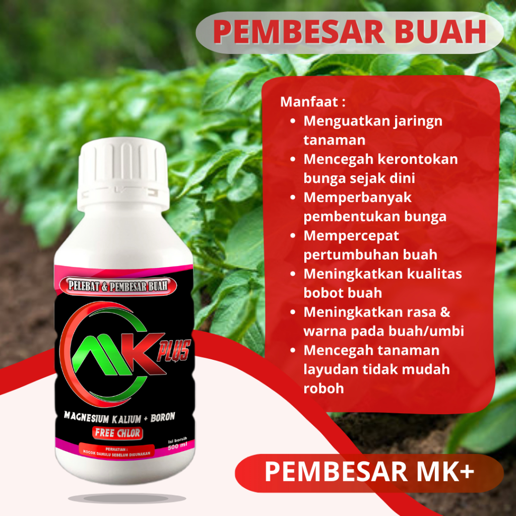 Jual [MK+ 500ml] Pupuk Pembesar Buah dan Umbi Semua Jenis Tanaman ...