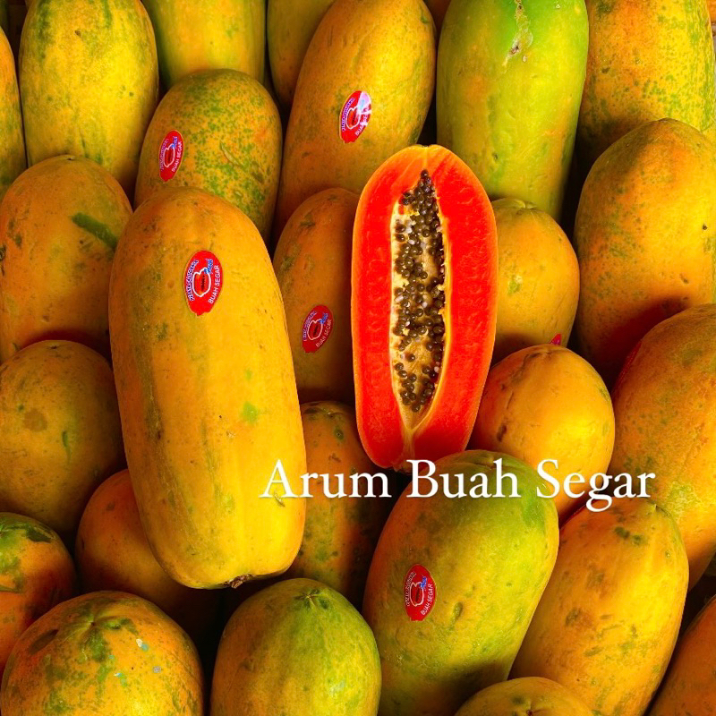 Jual Pepaya California Fresh Manis Best Seller 1pcs | Shopee Indonesia