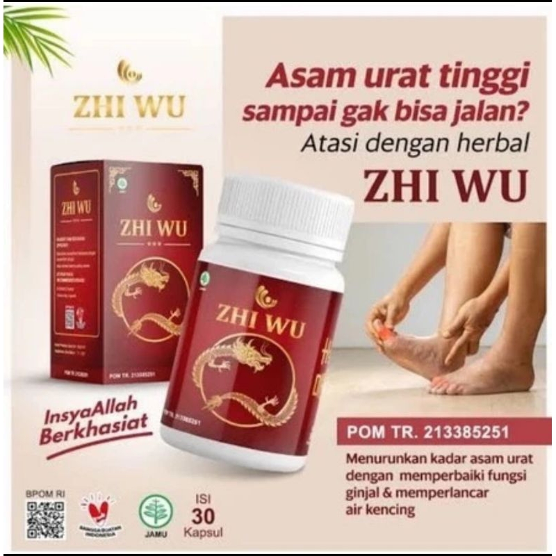 Jual Zhi Wu Original Obat Herbal Atasi Syaraf Kejepit Nyeri Sendi Ampuh ...