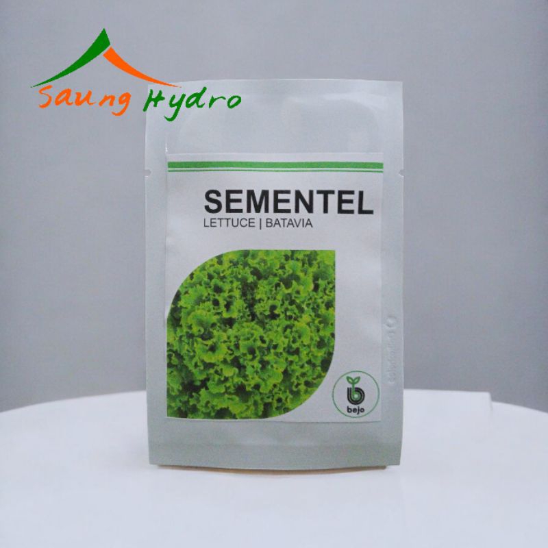 Jual Benih selada Batavia sementel bejo 100 biji | Shopee Indonesia