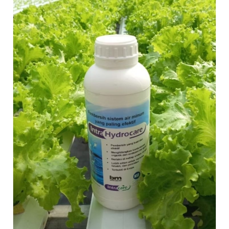 Jual Intra Hydrocare H2O2 (1ltr) | Shopee Indonesia