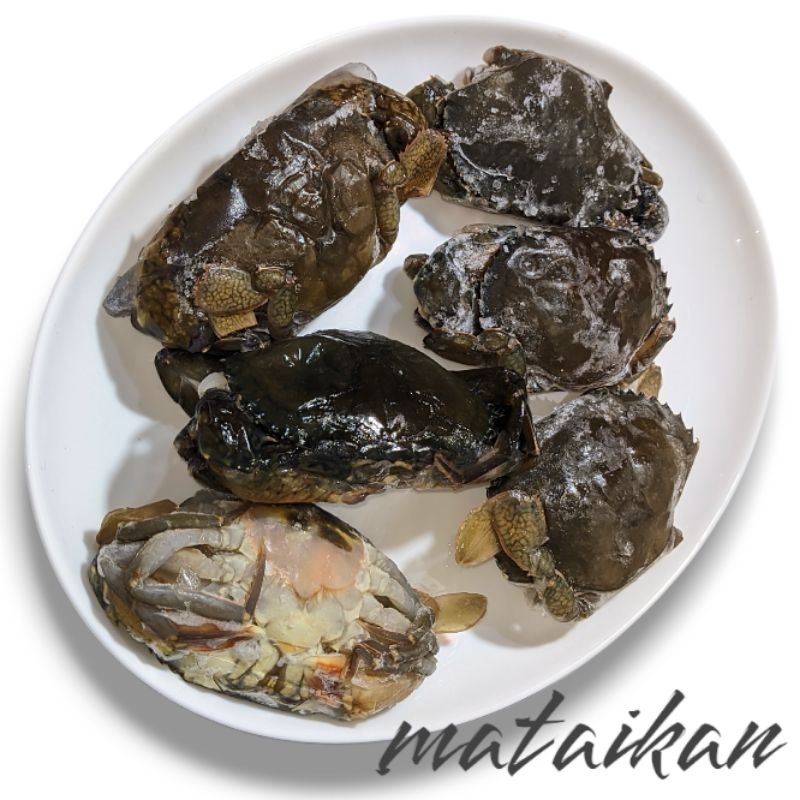 Jual Kepiting Hijau Bakau Soka Soft Shell Crab Molting Premium Piting ...