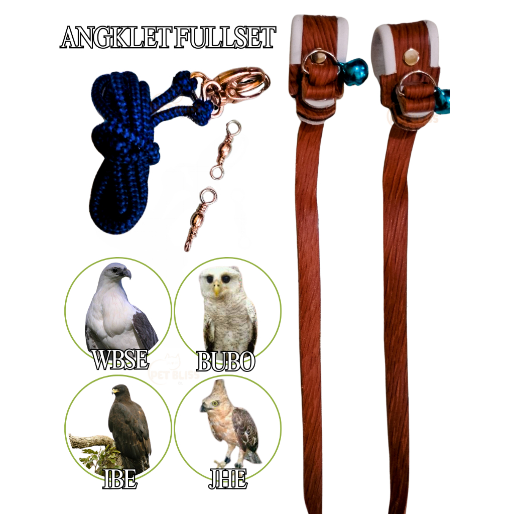 Jual Angklet Tali Kaki Burung Hantu Elang/ DM, CHE, JHE, BUBO, WBSE ...