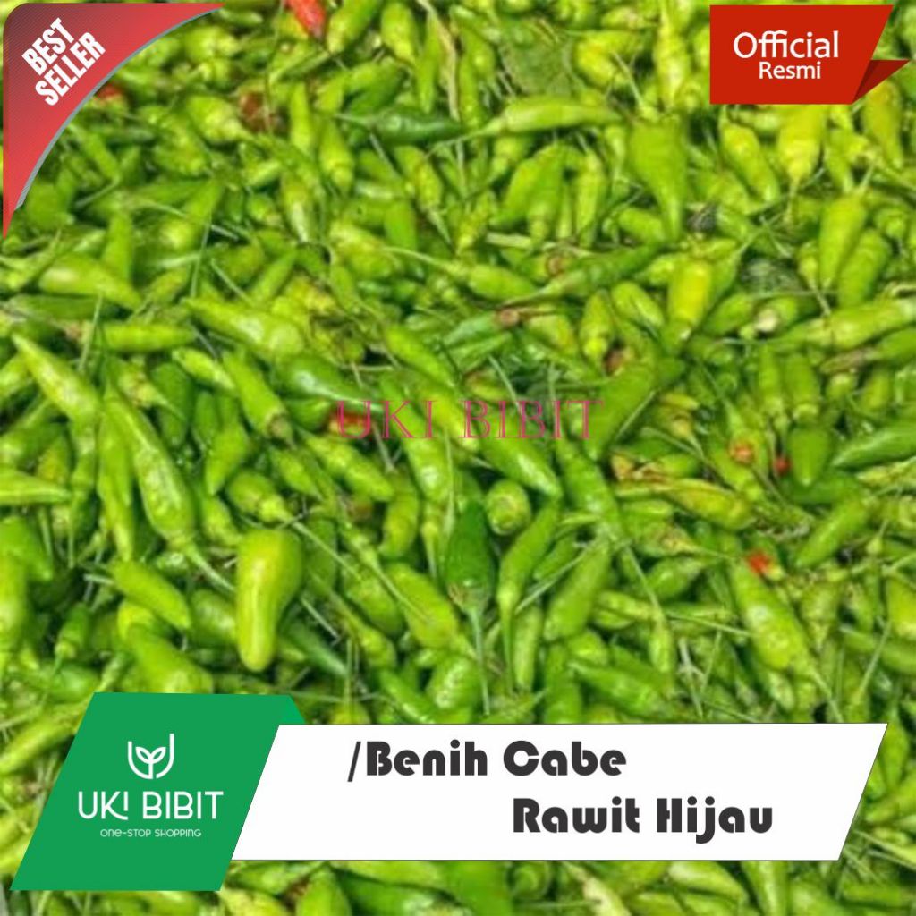Jual ( 100 Butir ) Benih Cabe Rawit Hijau | Shopee Indonesia