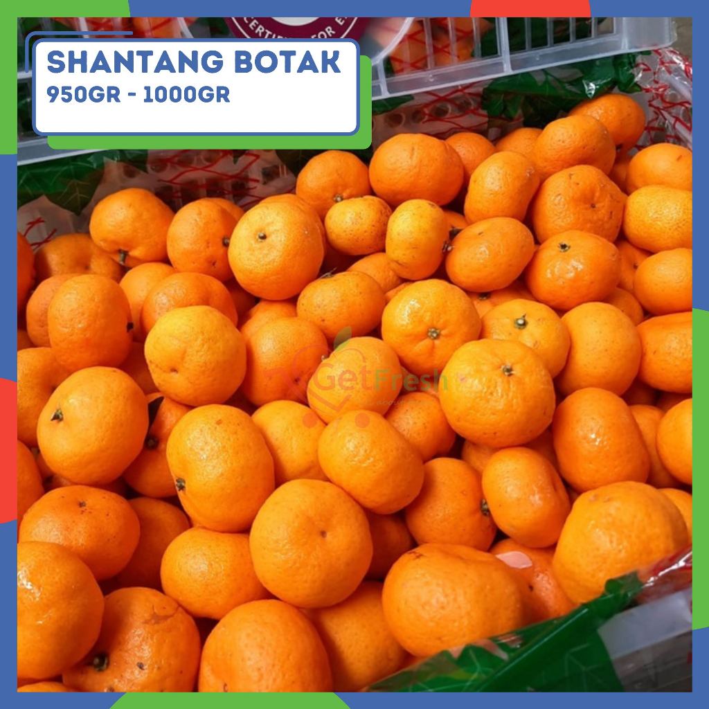 Jual Jeruk Shantang Botak Pack 950 - 1000gr | Shopee Indonesia