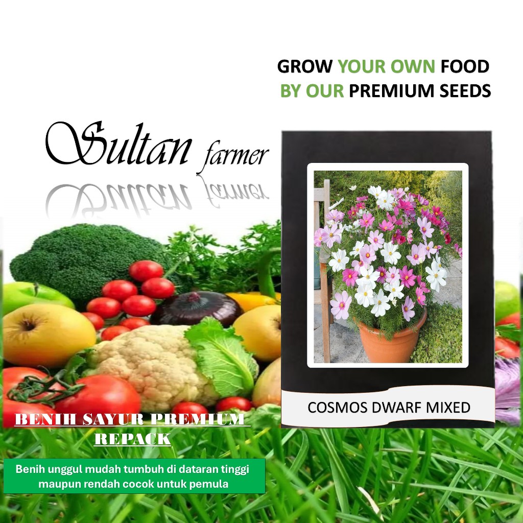 Jual 10 benih Bunga Cosmos Dwarf Mixed Cosmos Kecil Cosmos Tall Mixed ...