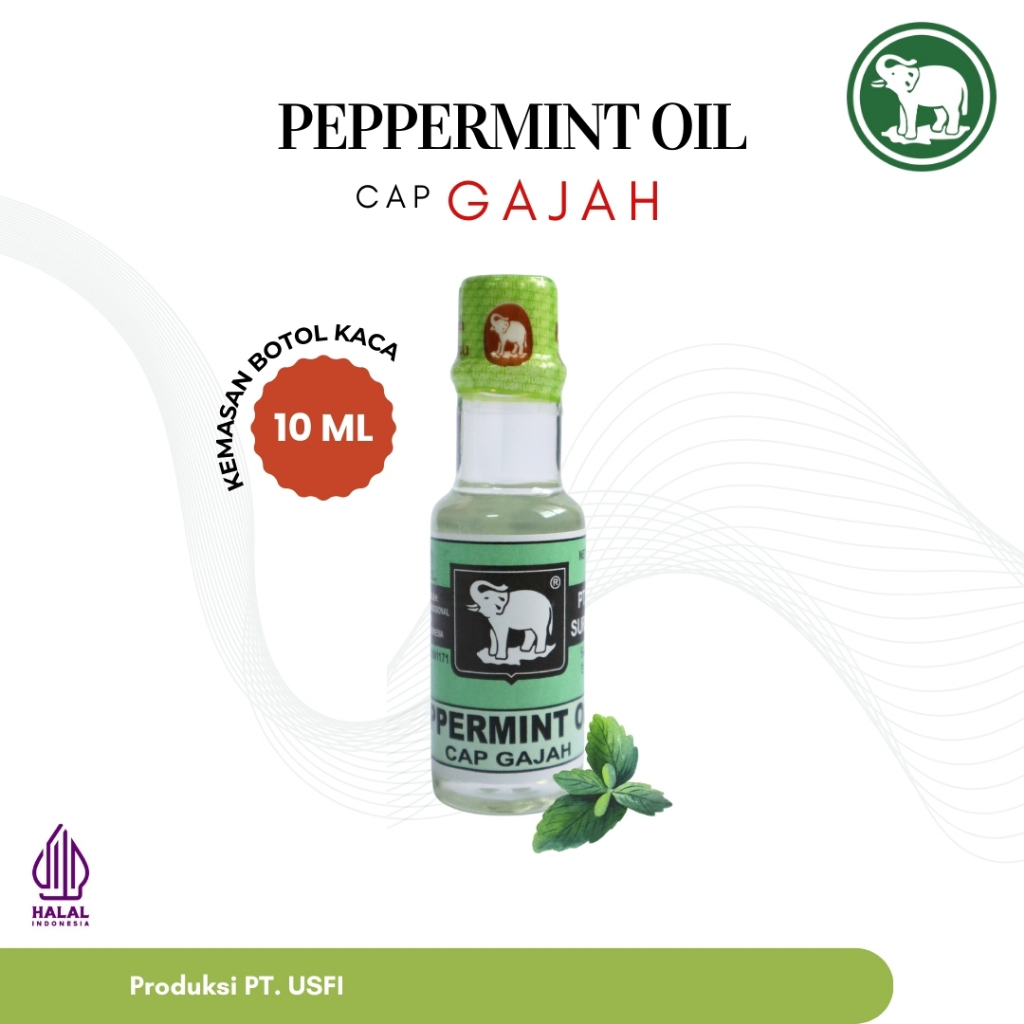 Jual Cap Gajah Peppermint Olie 10 ML | Shopee Indonesia