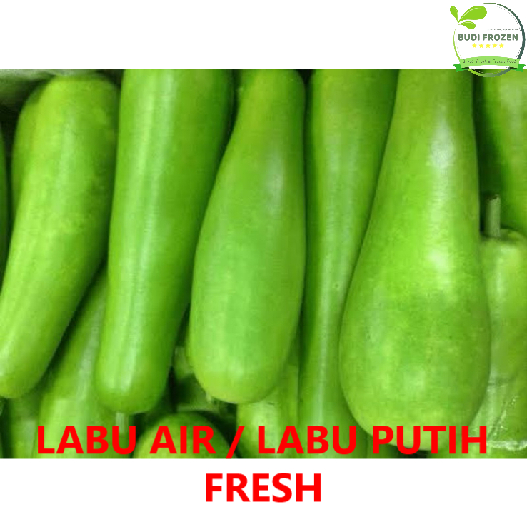 Jual LABU AIR / LABU PUTIH 2-3 KG PER BUAH | Shopee Indonesia