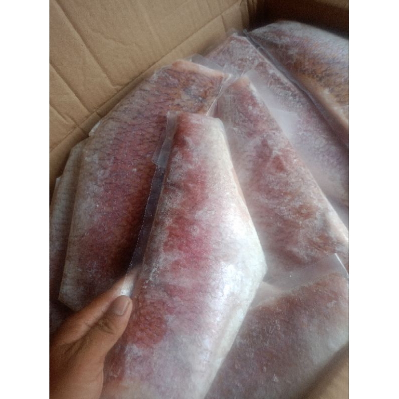 Jual IKAN FILLET KAKAP ANGGOLI 1kg | Shopee Indonesia