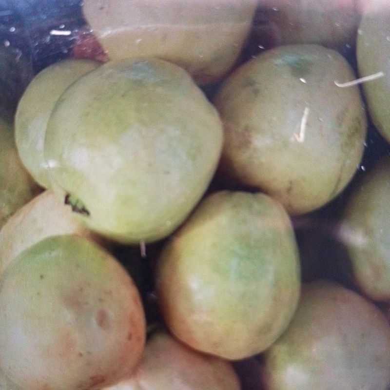 Jual jambu biji merah 1 kg | Shopee Indonesia