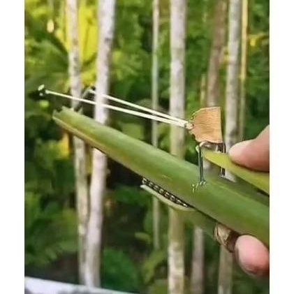 Jual (MODEL 3) SLINGSHOT BAMBOO Tembakan Bambu Tradisional, KETAPEL ...