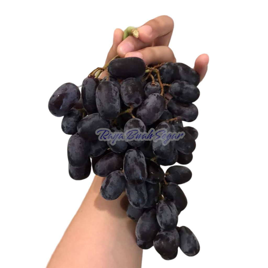 Jual Anggur Black Adora Buah Import Segar Pilihan | Shopee Indonesia