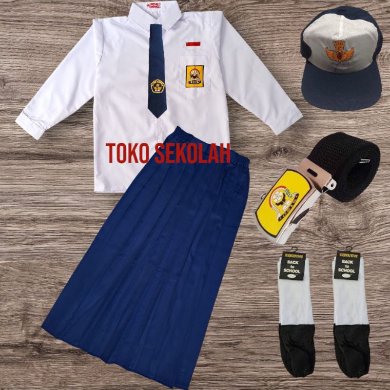 Jual Seragam Sekolah Anak SMP Perempuan Baju Panjang Rok Panjang | Shopee Indonesia