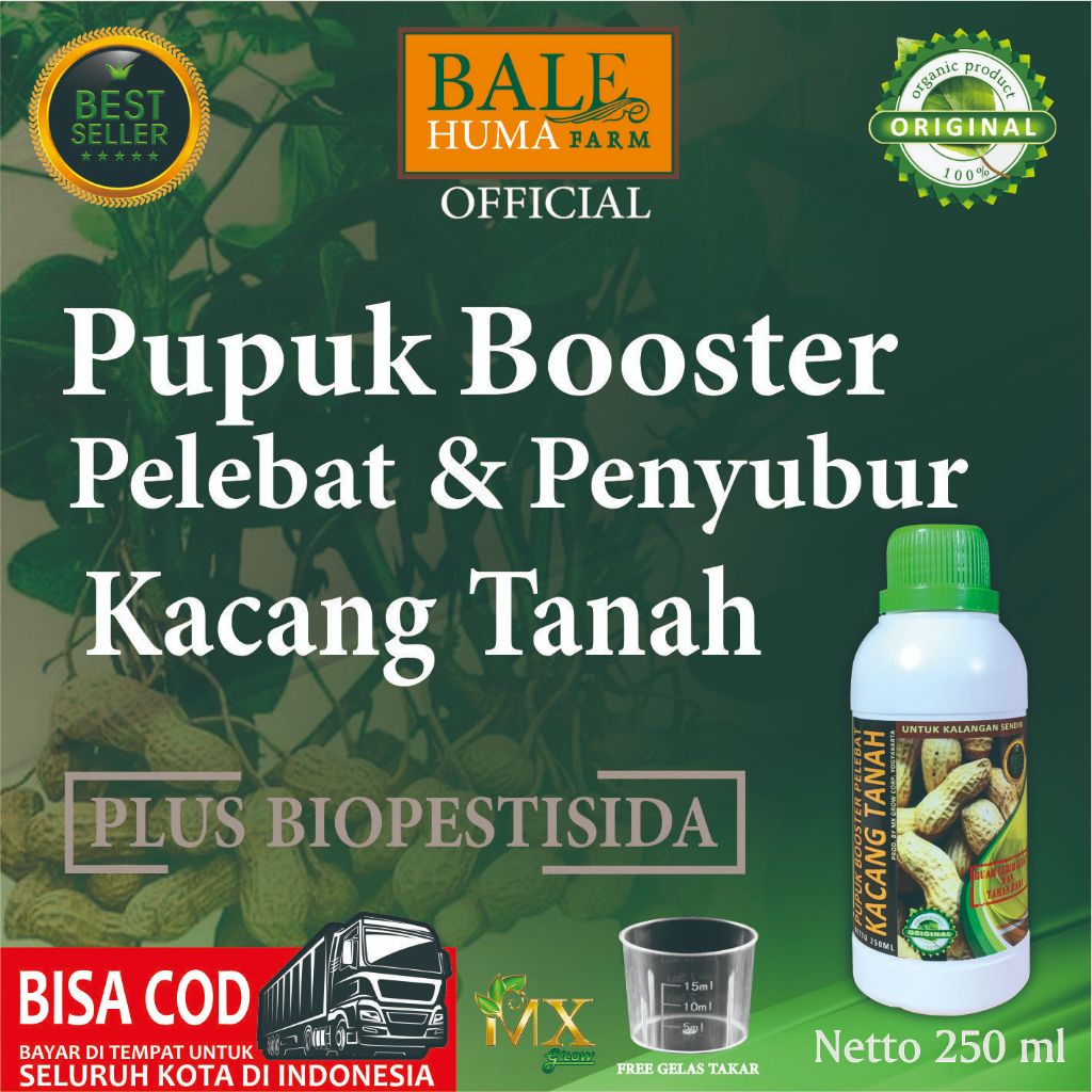 Jual Pupuk Organik Cair Pembesar Buah Pelebat Perangsang Tumbuh Kacang Tanah 250 ml / Booster ...