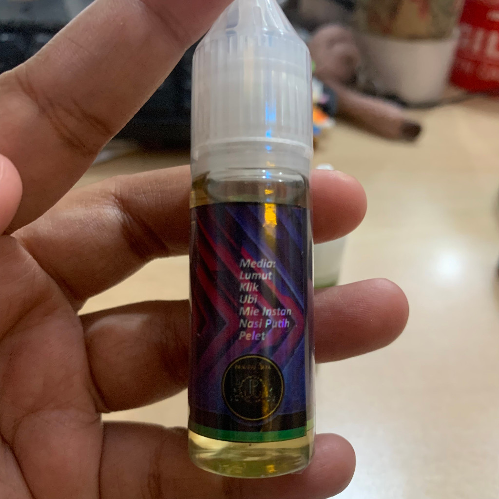 Jual Essen Melem Racing Umpan Memancing Ikan Melem atau Nilem - Cocok ...