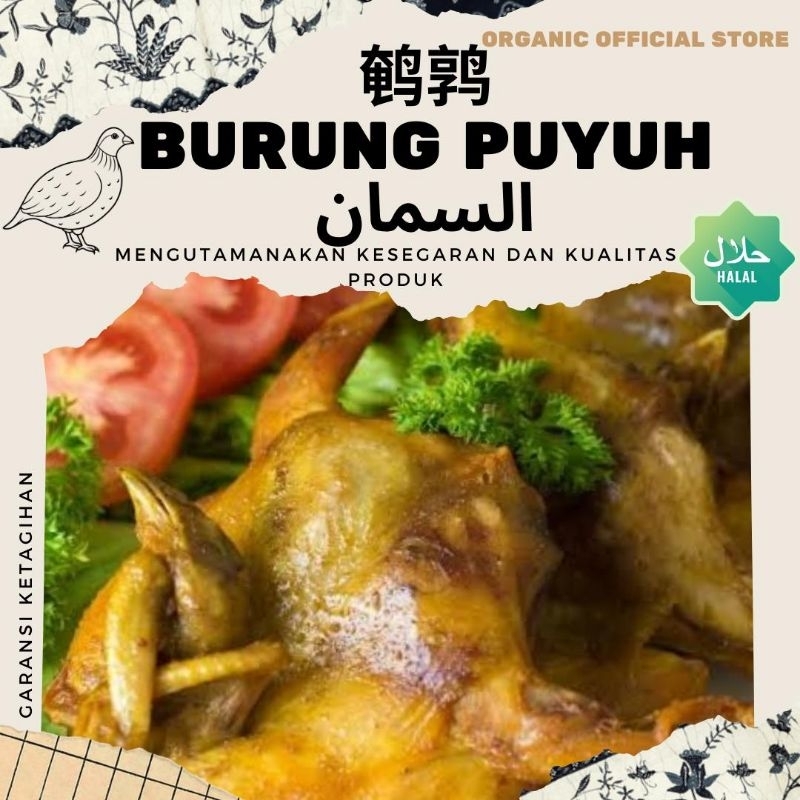 Jual Burung Puyuh Ungkep isi 5ekor/pack | burung puyuh Goreng/bakar ...