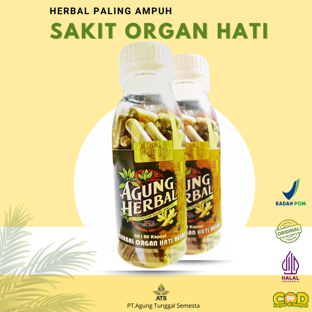 Jual Obat Organ Hati,Herbal Berkhasiat,Jamu AGUNG HERBAL#Organ Hati# ...