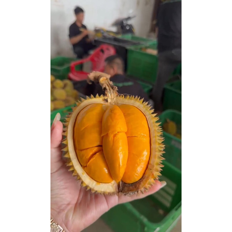 Jual Buah Lay Asli Kalimantan Per/Pcs | Shopee Indonesia