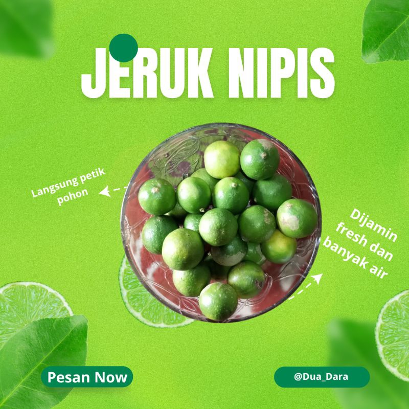 Jual jeruk nipis 1 kg murah/ jeruk nipis fresh langsung petik pohon ...